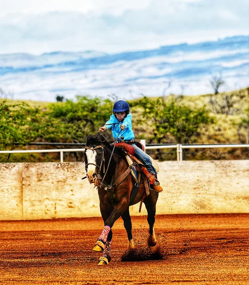 Paniolo Life: The Hawaiian Cowboy Legacy | Waikoloa Stables — WAIKOLOA ...