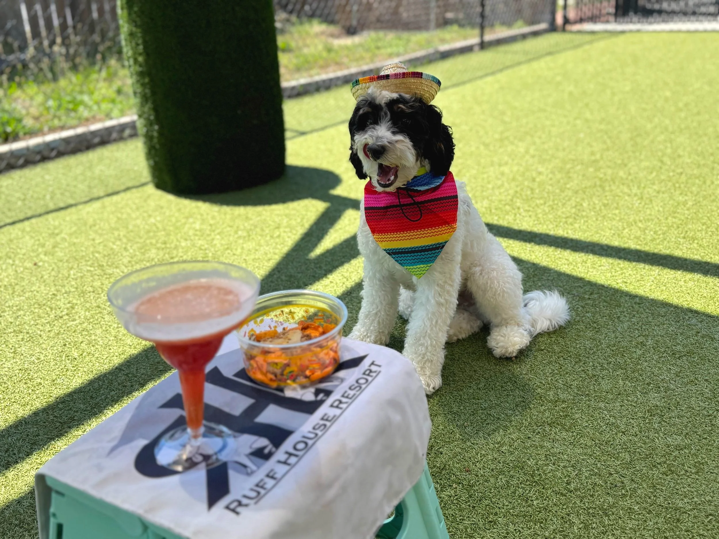 Overnight Boarding | Ruff House Resort — Ruff House Resort