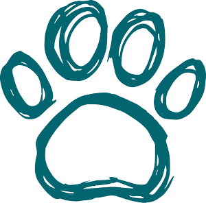 Overnight Boarding | Ruff House Resort — Ruff House Resort