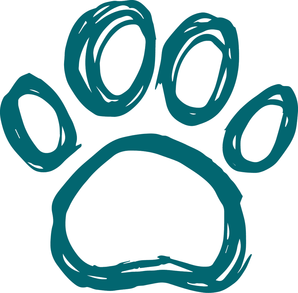 Ruff House Resort | Doggy Daycare, Boarding, & More