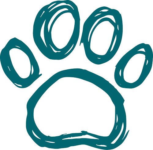 Ruff House Resort | Doggy Daycare, Boarding, & More