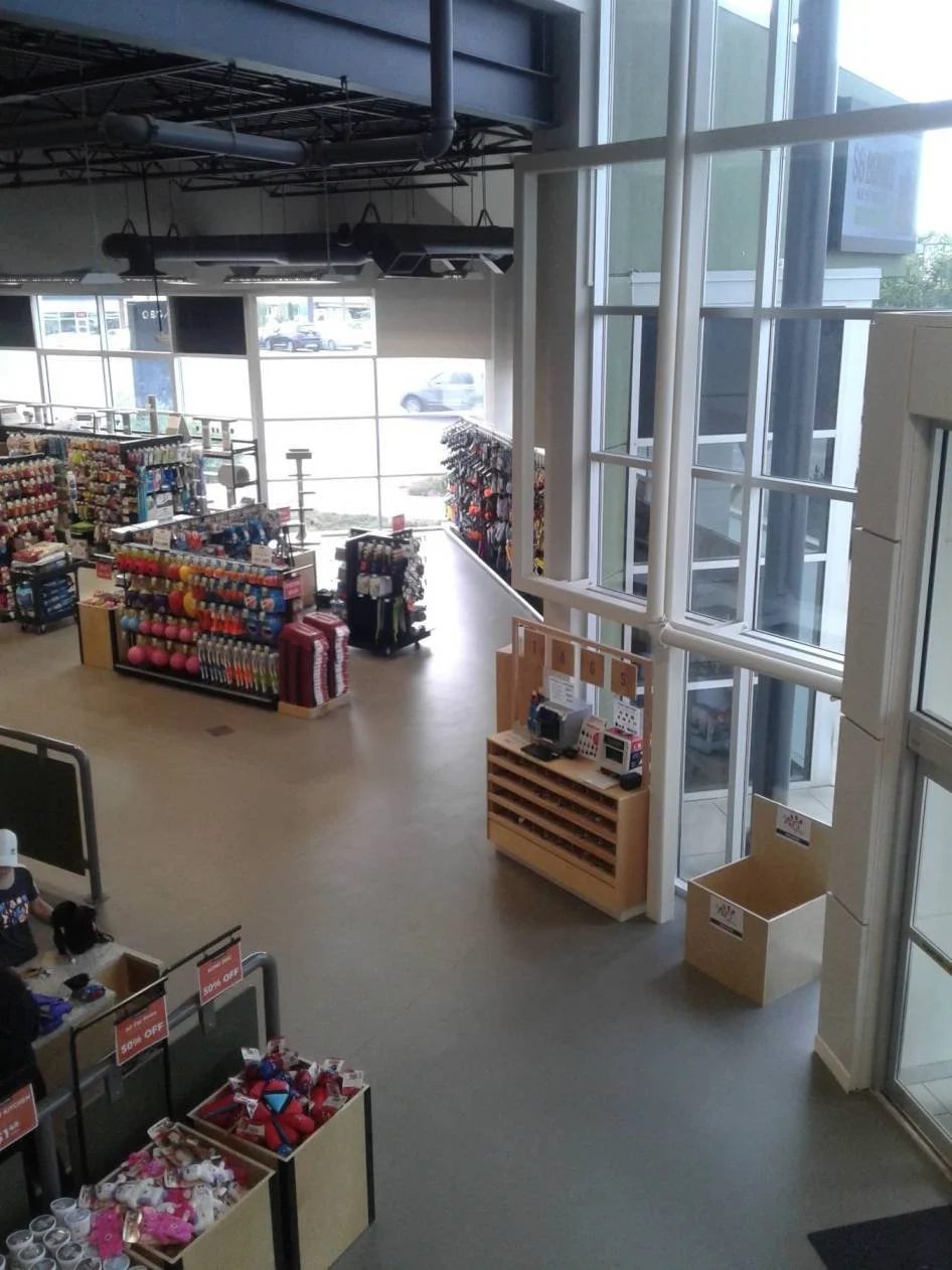 Homes Alive Pets Store | Goldwing Construction