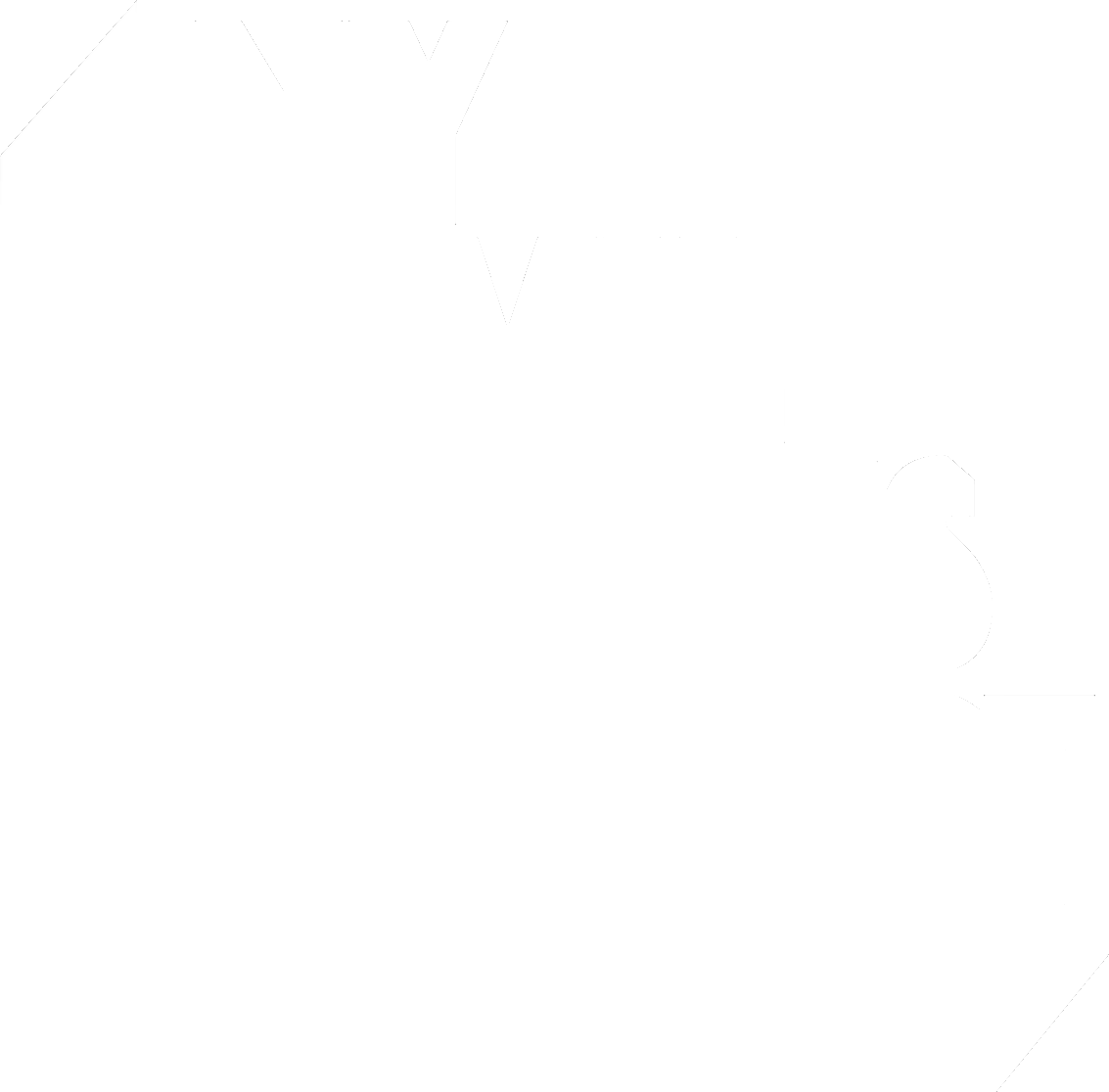 New York Civil Rights Project