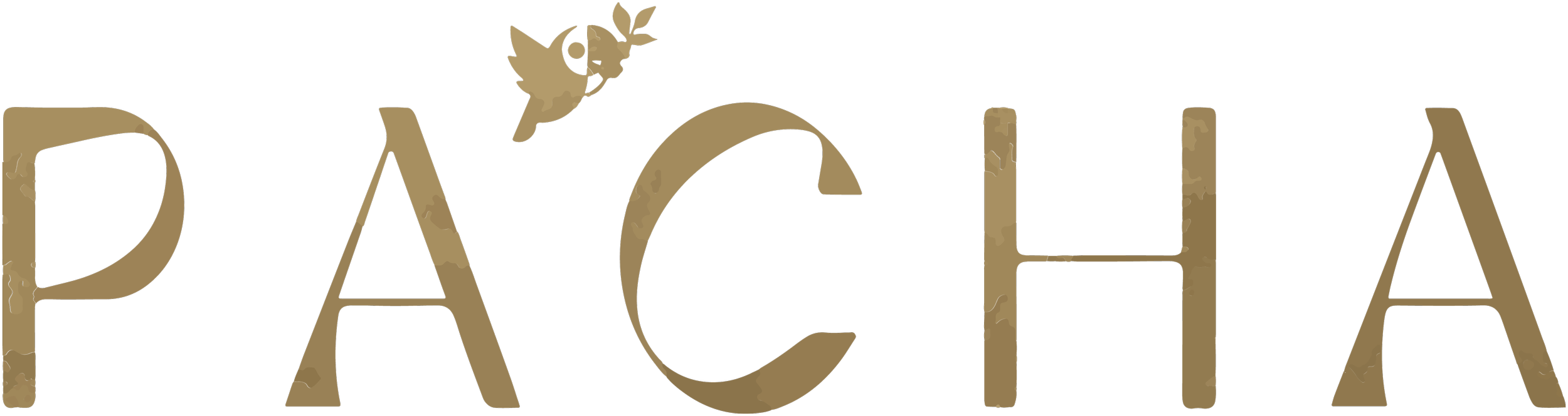 2025 YITP Sponsors — Yerbana Wellness