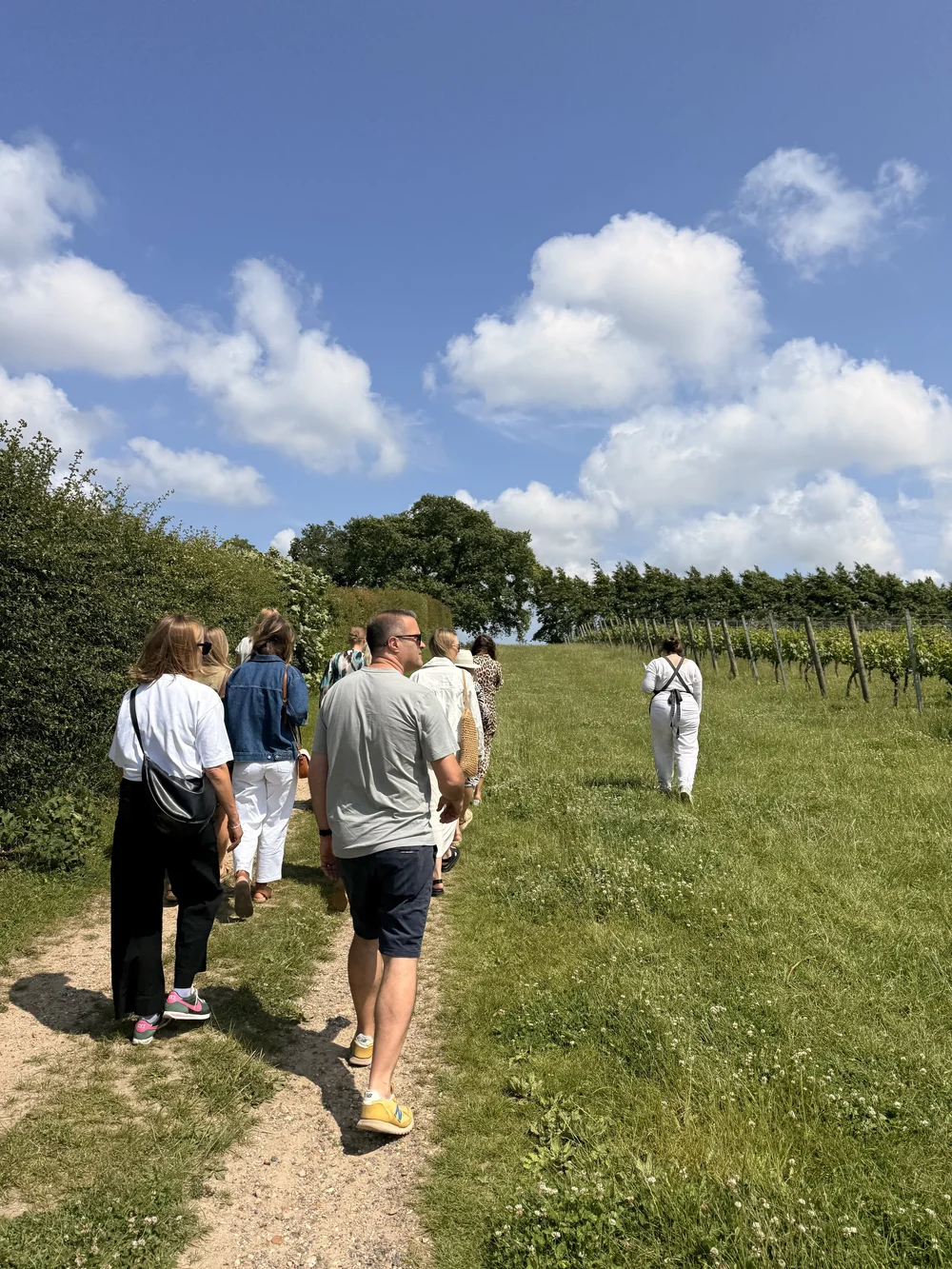 Albourne Estate | Discover, Taste, Visit Today — Shuttle & Vine