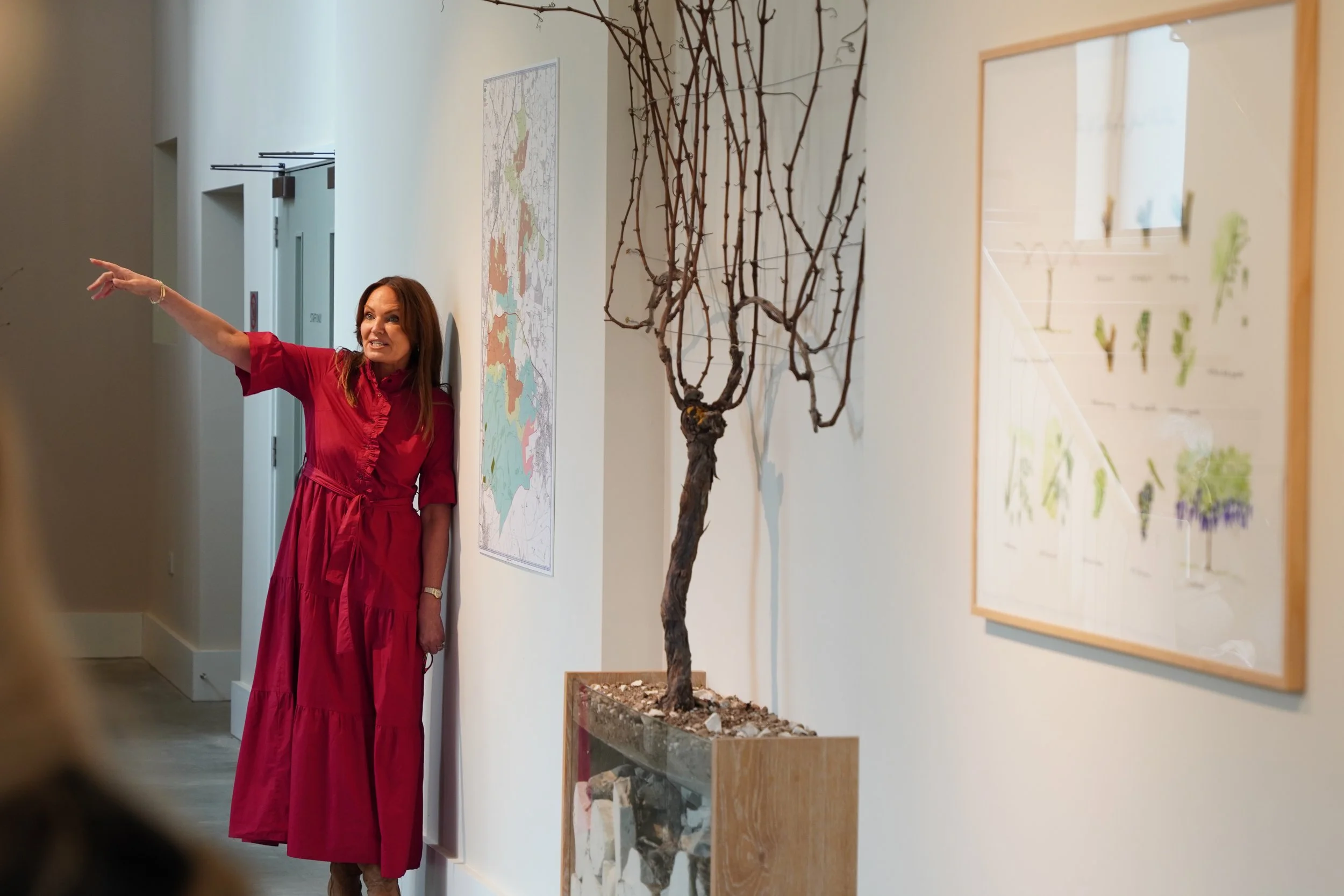 Wiston Estate | Discover & Experience Wiston — Shuttle & Vine