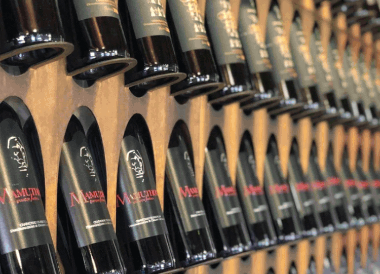 What's On — Machiavelli Ristorante Italiano
