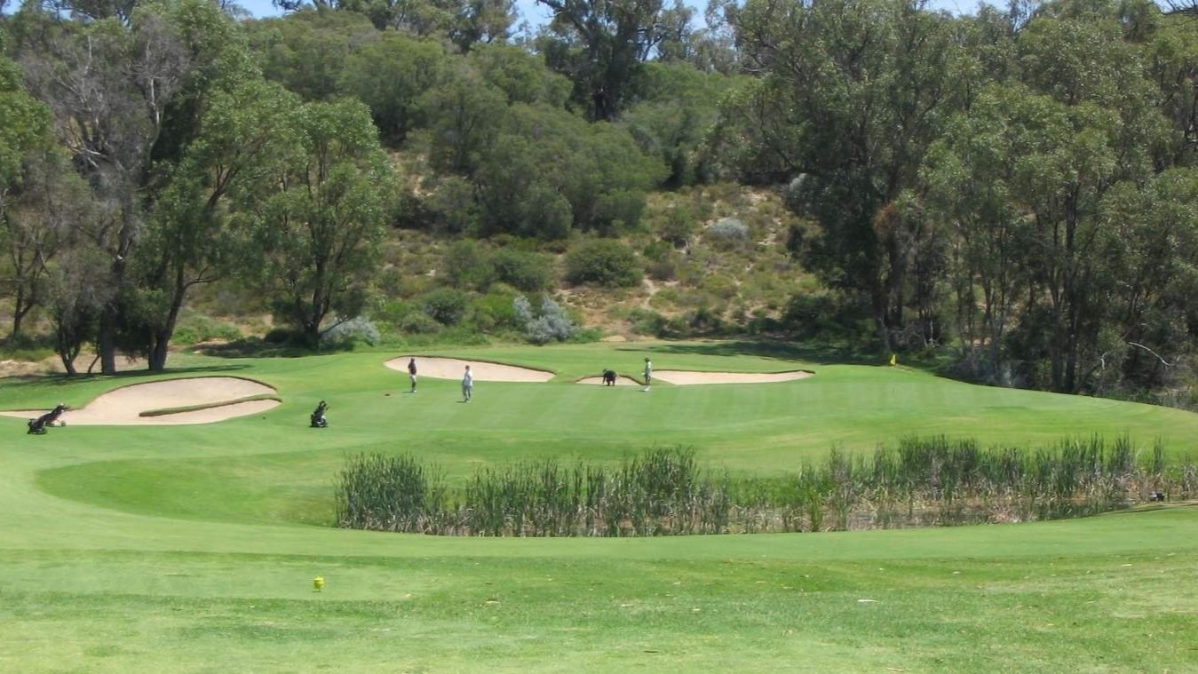Portfolio — Michael Coate Golf Design