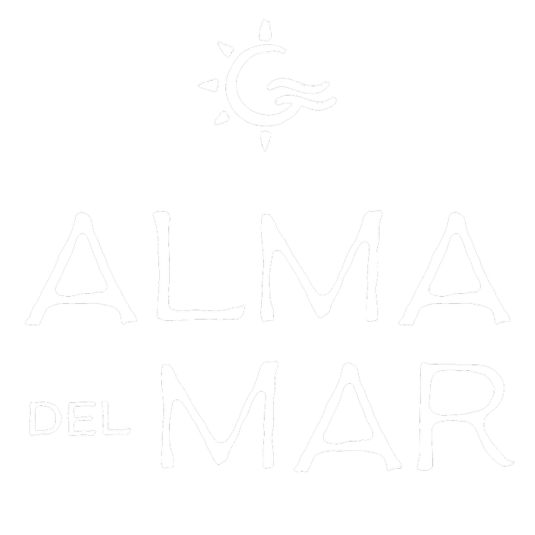 The Complete Guide to Cerritos Beach: Baja's Hidden Gem — ALMA DEL MAR