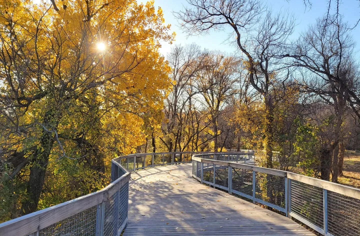 Allen, TX Guide: The Up-and-Coming North DFW Destination for Shopping ...