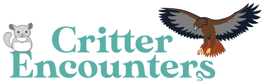 Critter Encounters