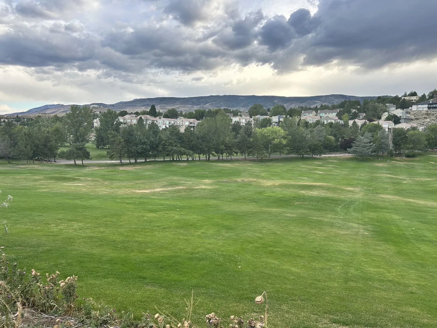 Background — SAVE LAKERIDGE