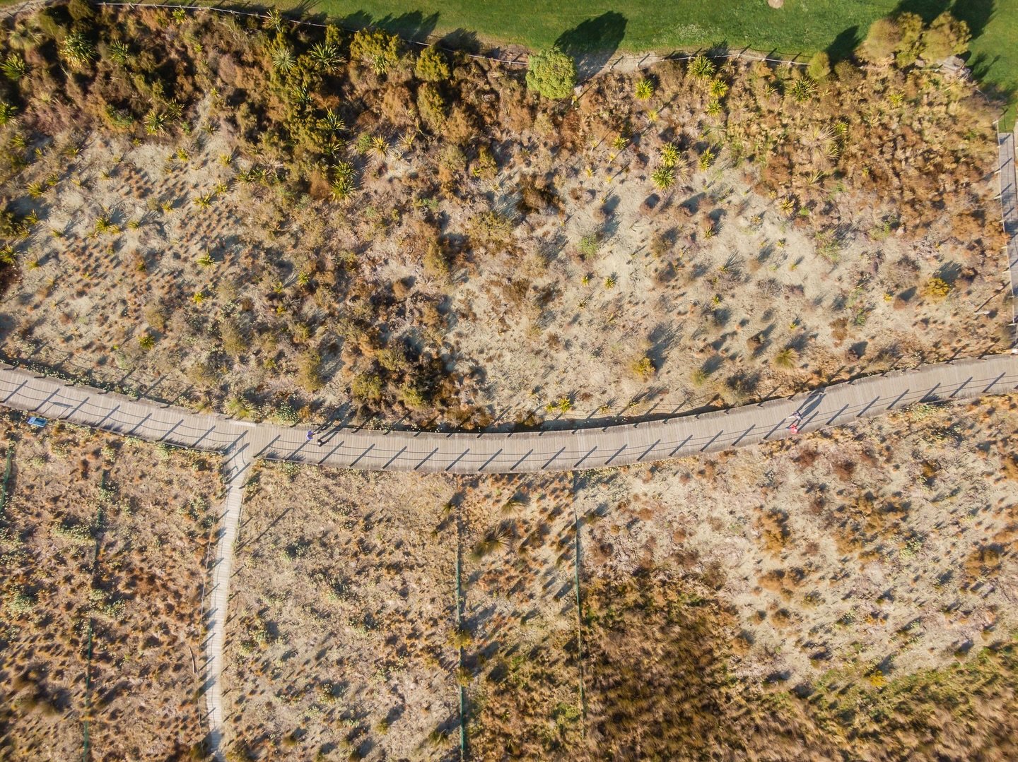 The Coastal 2025 | Timaru’s Scenic Running & Walking Event