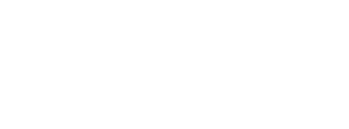 Wellington Landscaping | Southern Light Landscapes