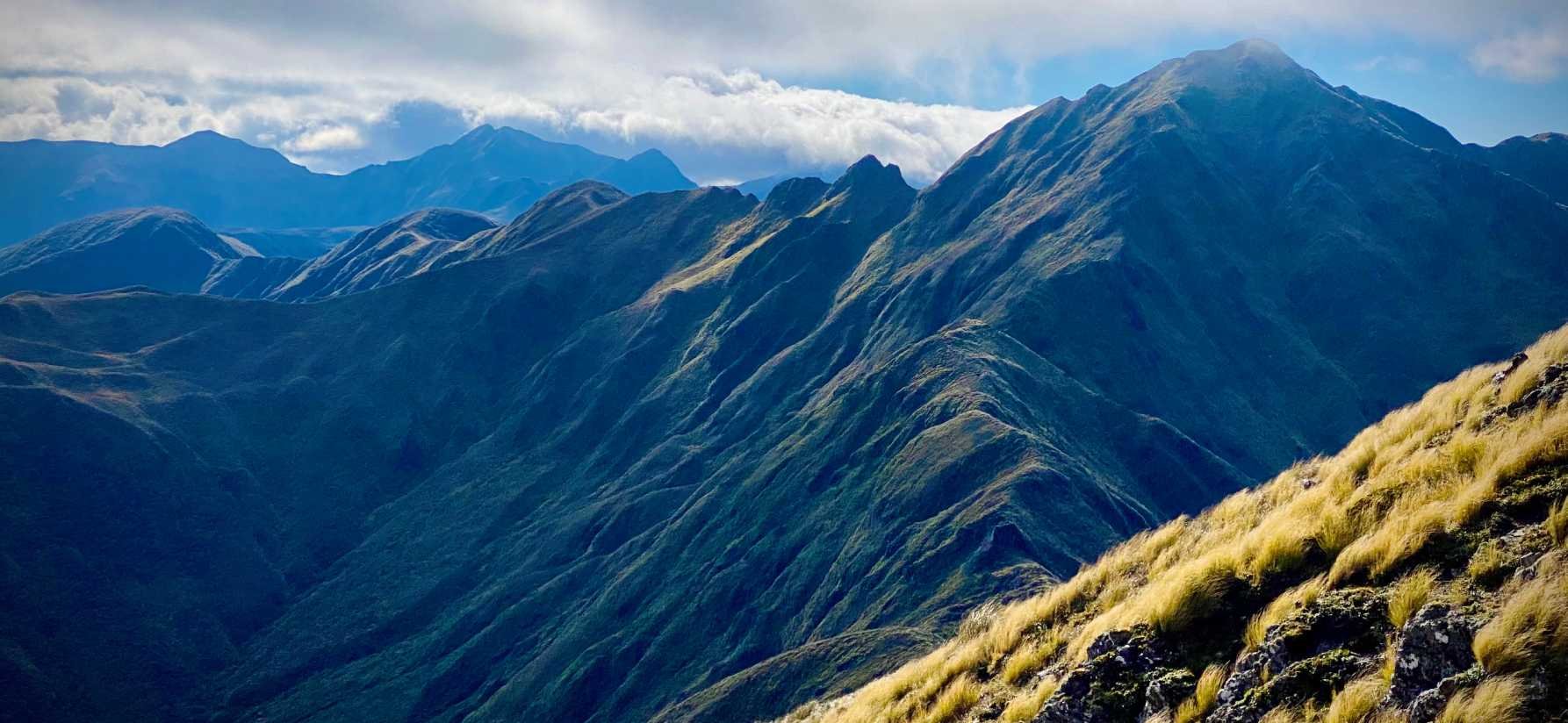 Trail Running Events NZ Calendar — TRNZ