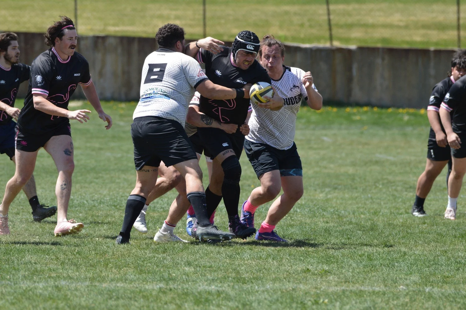 Northern Colorado Rugby