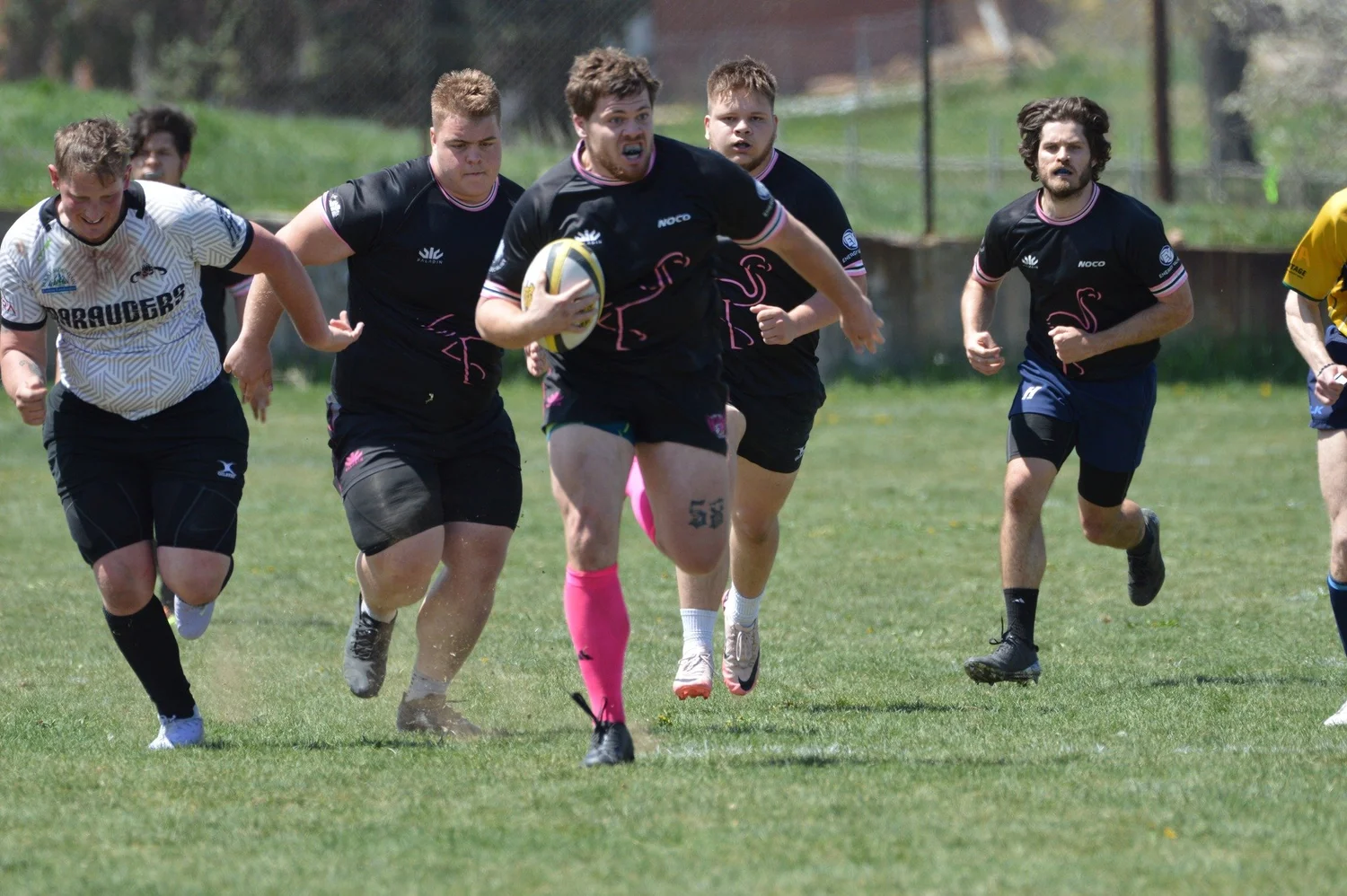 Northern Colorado Rugby