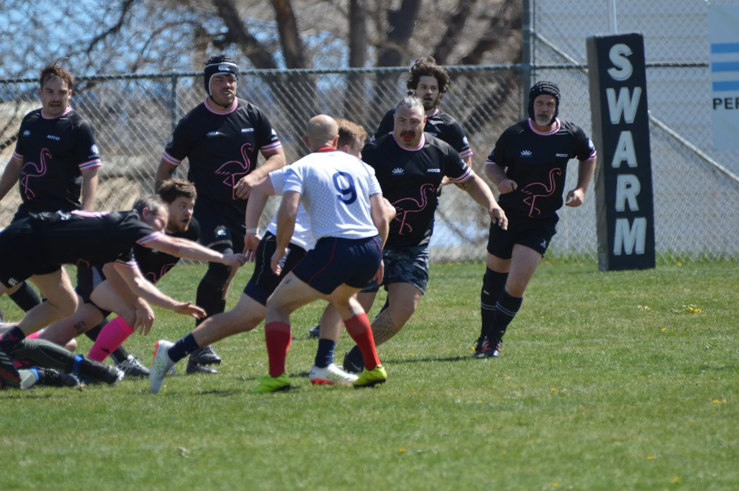 Northern Colorado Rugby