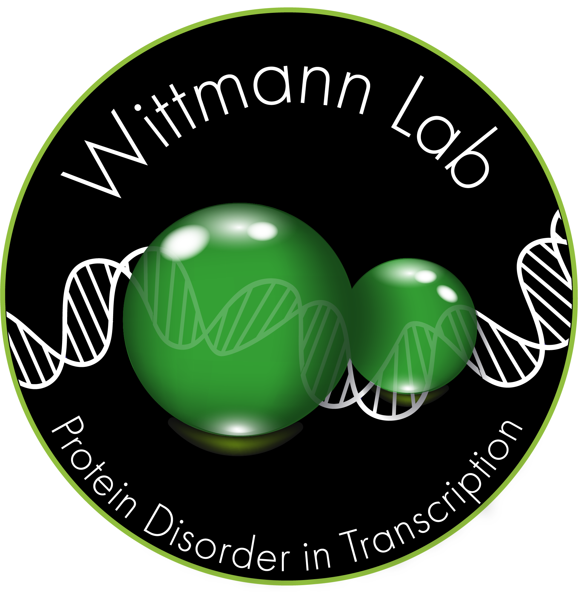 Wittmann Lab IMB Mainz