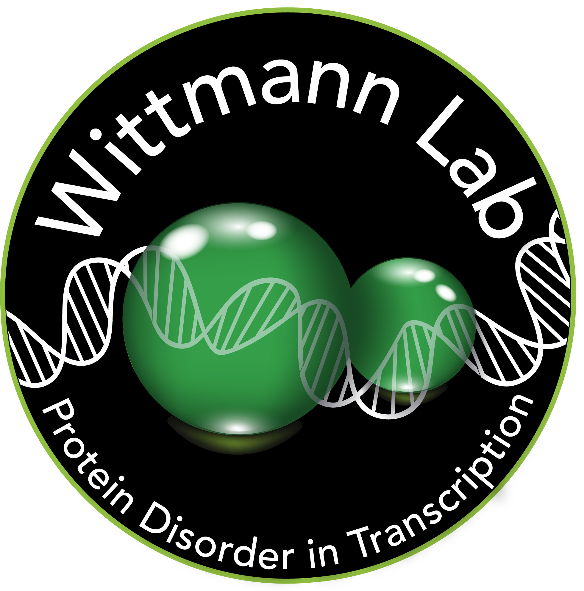 Wittmann Lab IMB Mainz
