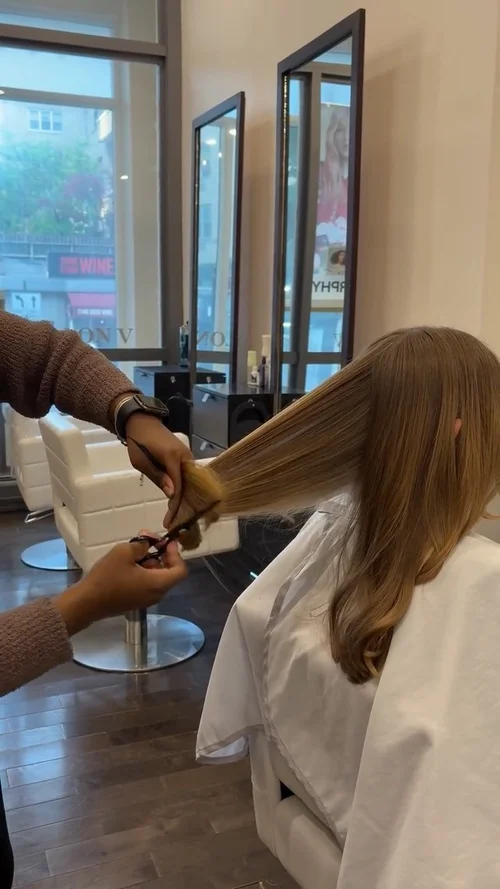 Salon V | Discover Your Look Today
