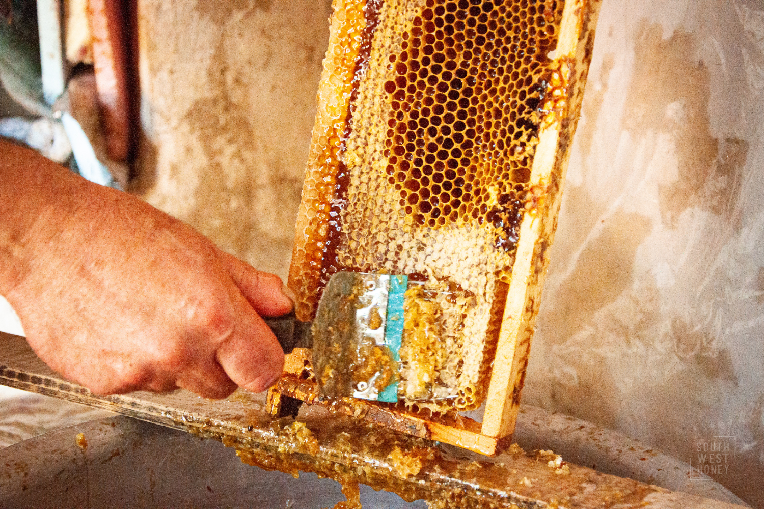 Why Honey Doesn’t Expire: The Shelf Life of Raw Western Australian ...