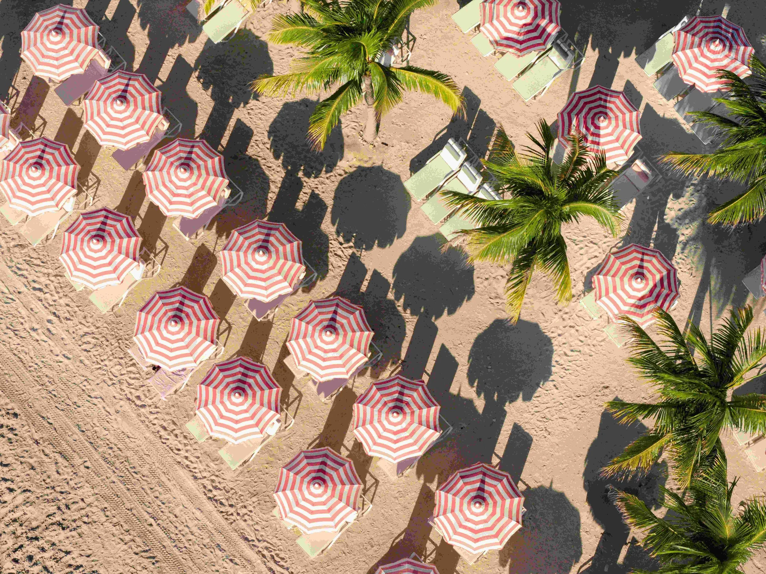 Complete Guide to Celebration Key - Map, Food Menus, Inclusions & More ...