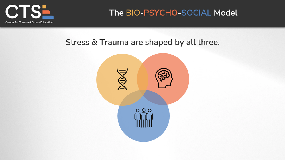 What Is the Bio-Psycho-Social Model? — The Center for Trauma & Stress ...
