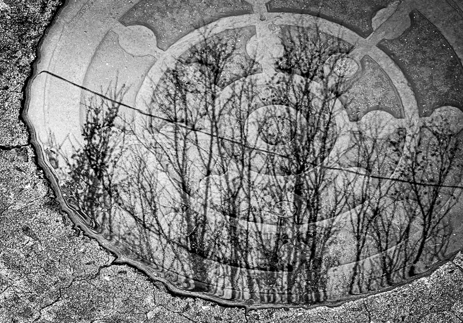 Tim Auman Photography