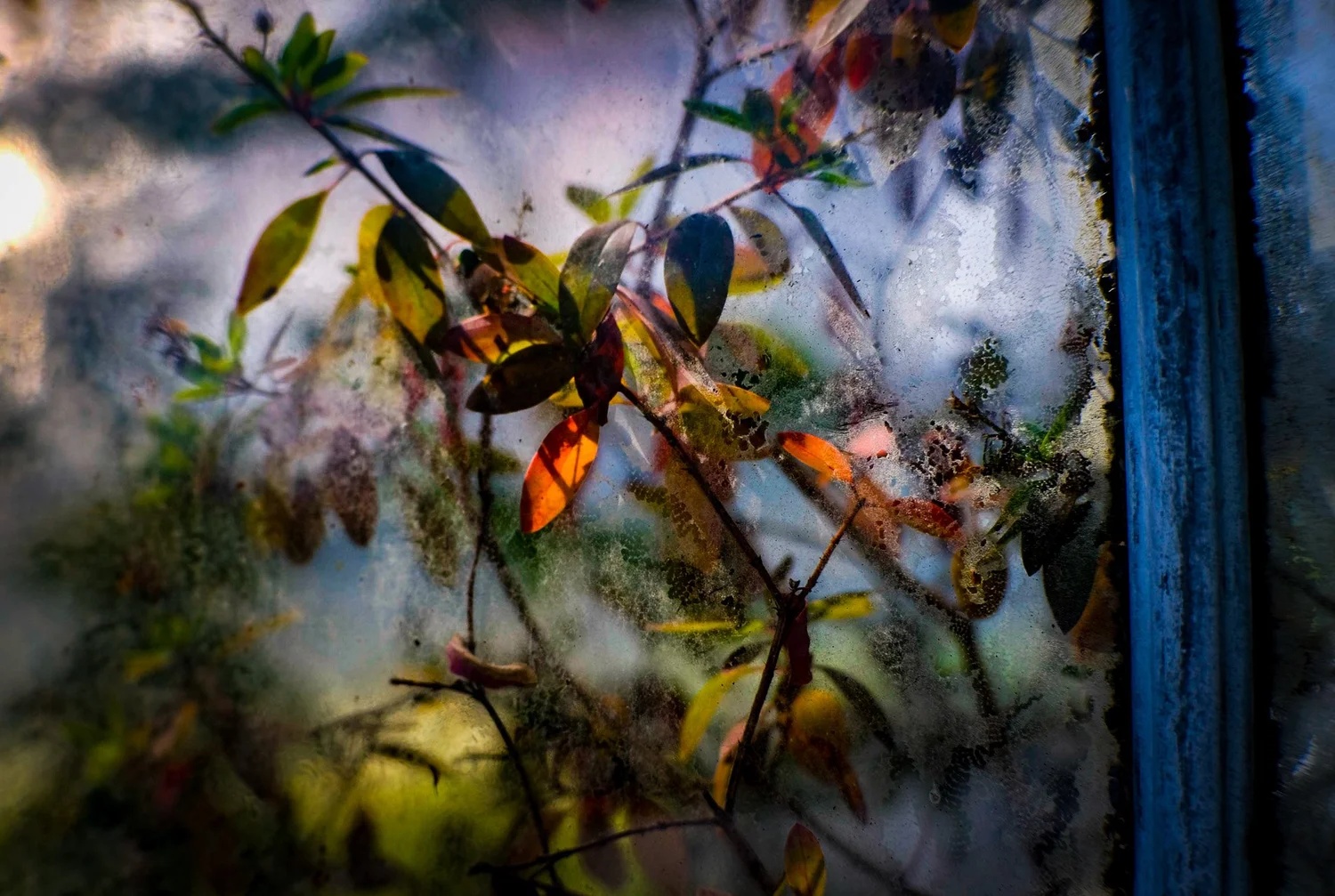 Tim Auman Photography