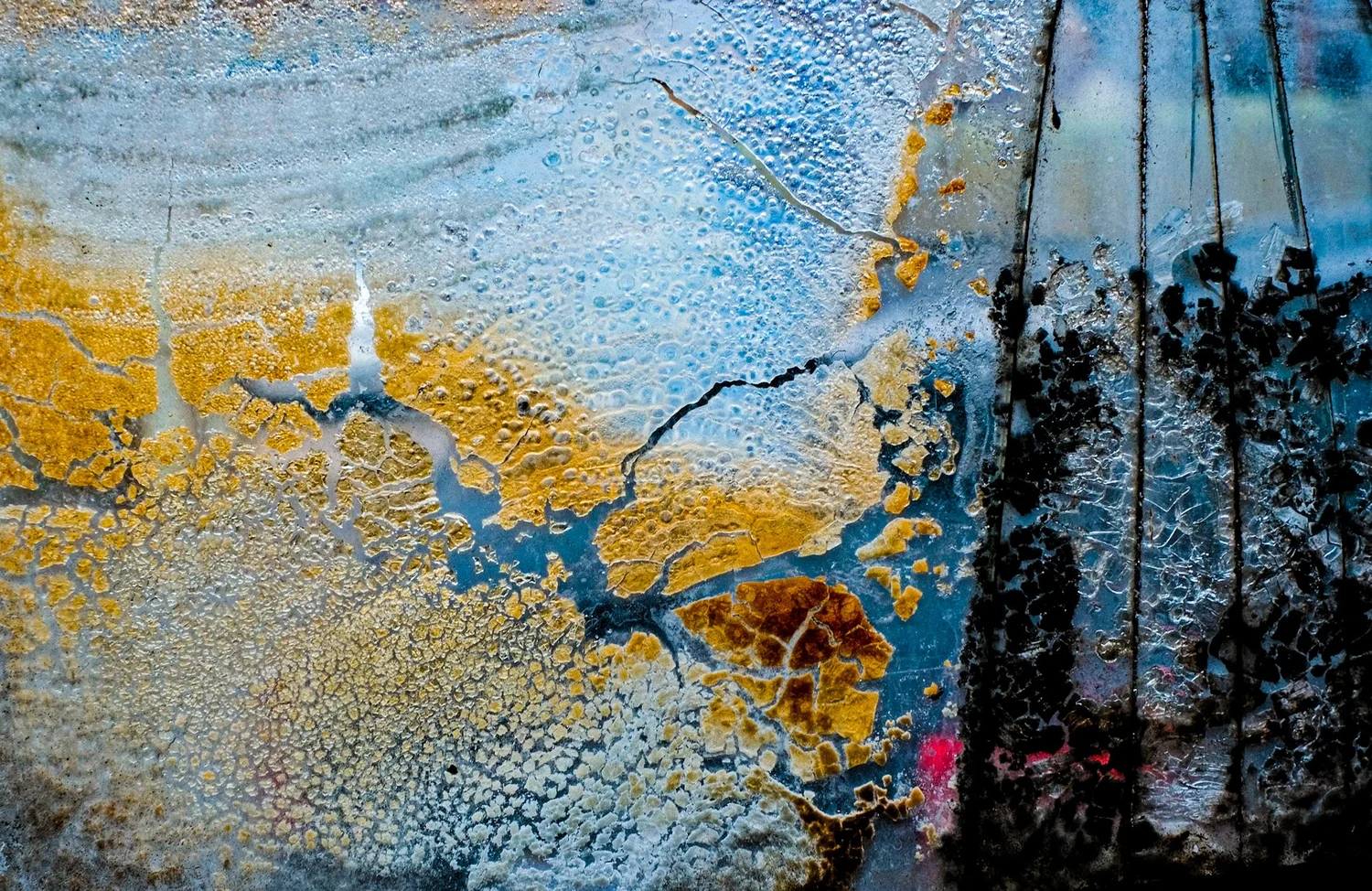 Tim Auman Photography