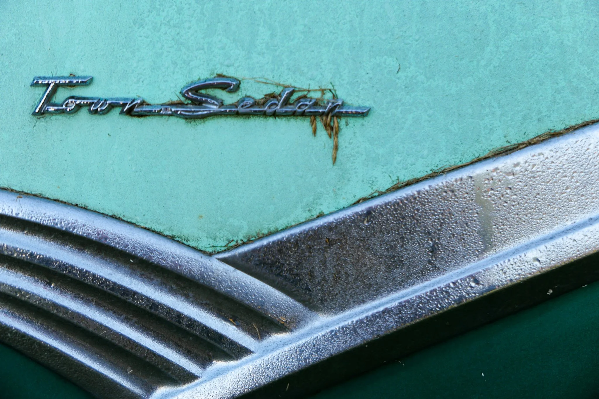 Tim Auman Photography