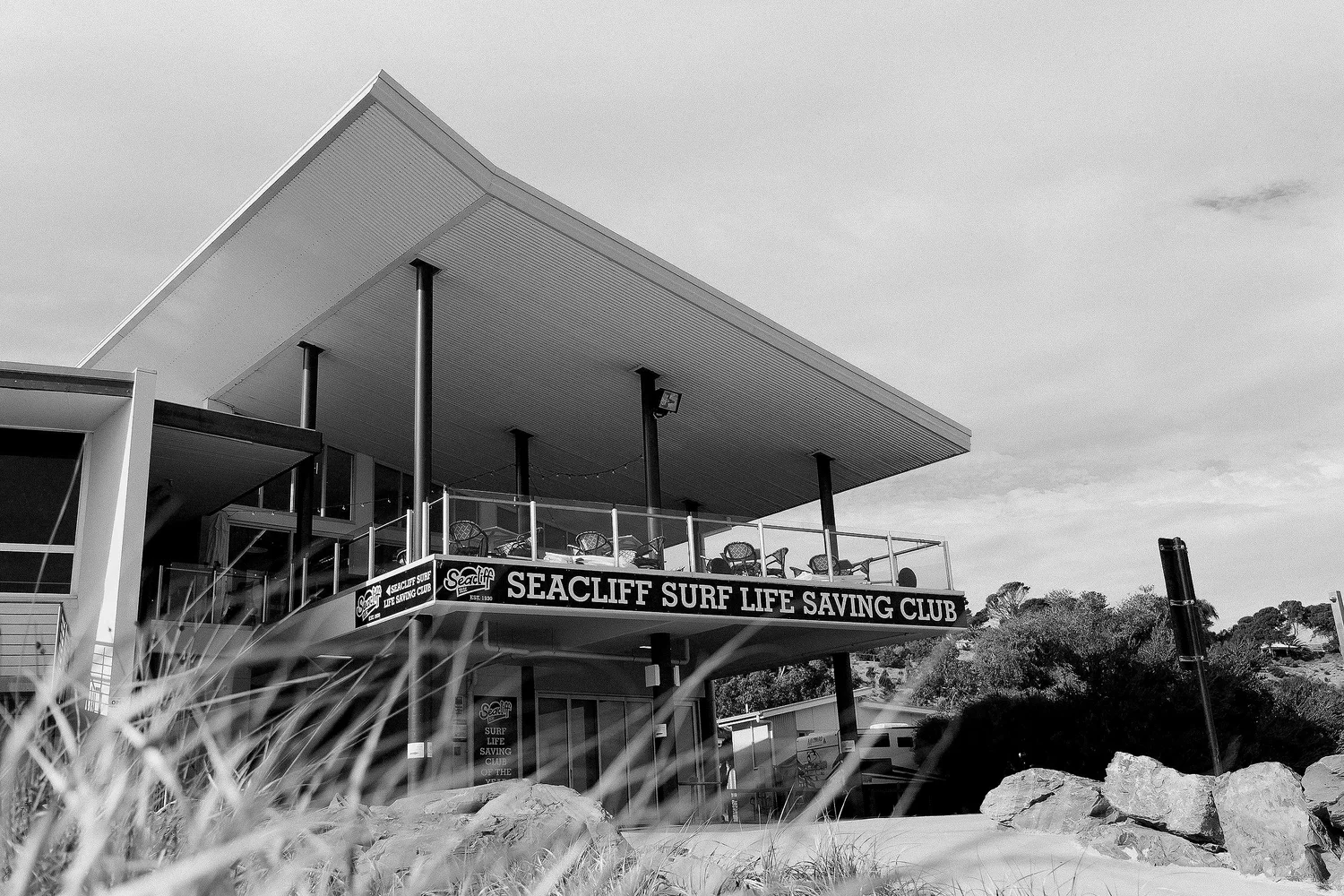 Seacliff Surfy