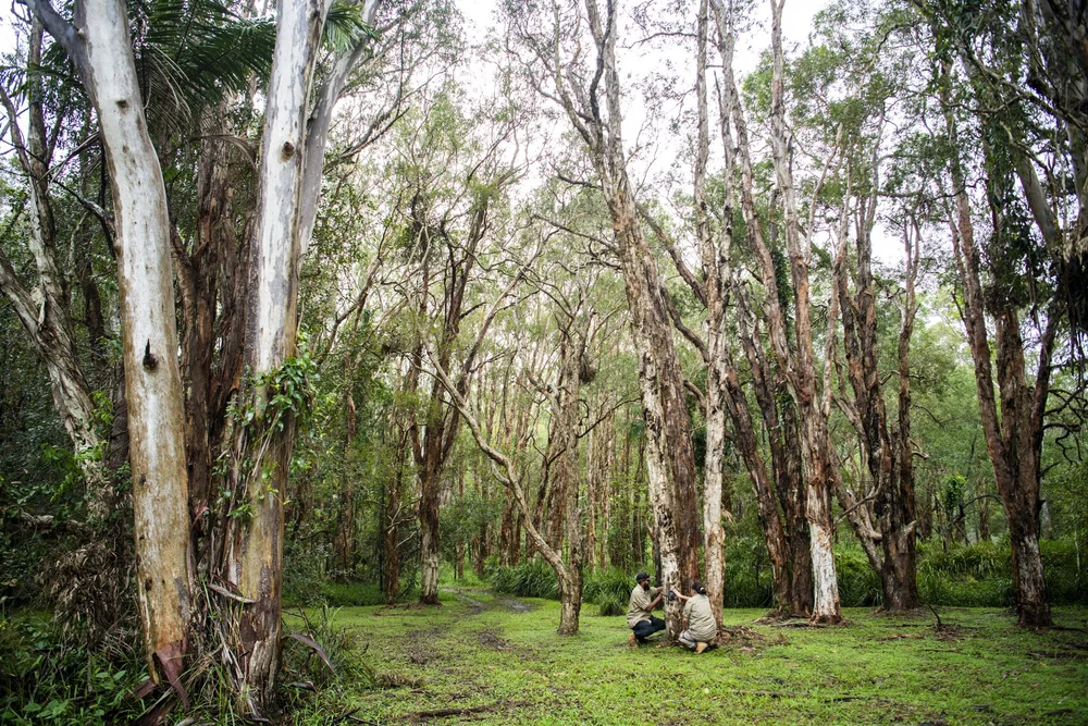 Minyumai Land Holding Aboriginal Corporation