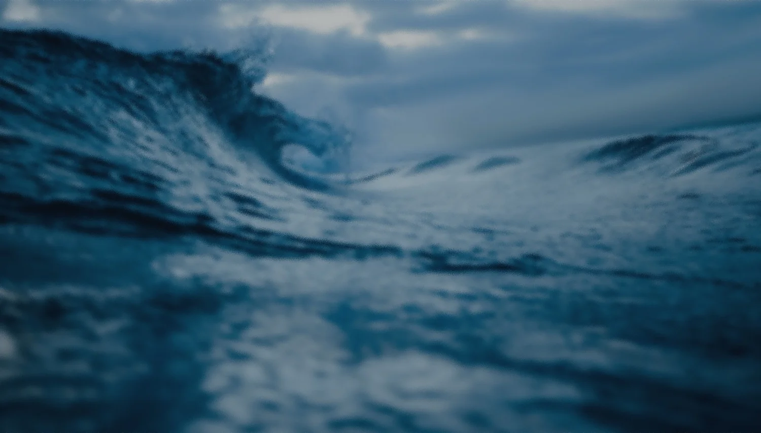 Ocean Matcher | Discover Ocean Funding Opportunities