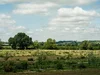 Higher Farm - Regenerative Farm in Somerset