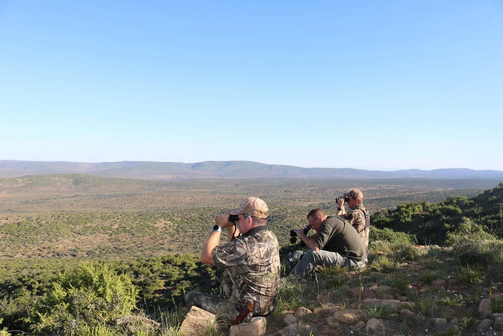 Kudu Hunting South Africa | Free-Range Safaris in Eastern Cape ...