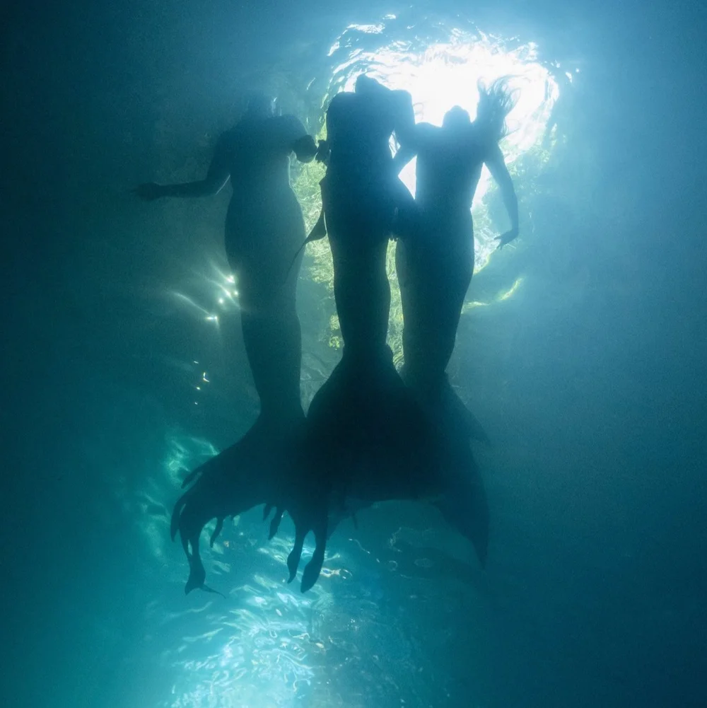 Mermaid Courses 2025 | PADI‑Certified Mermaiding Training for All Levels