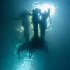 Mermaid Courses 2025 | PADI‑Certified Mermaiding Training for All Levels
