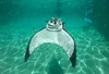 Mermaid Courses 2025 | PADI‑Certified Mermaiding Training for All Levels