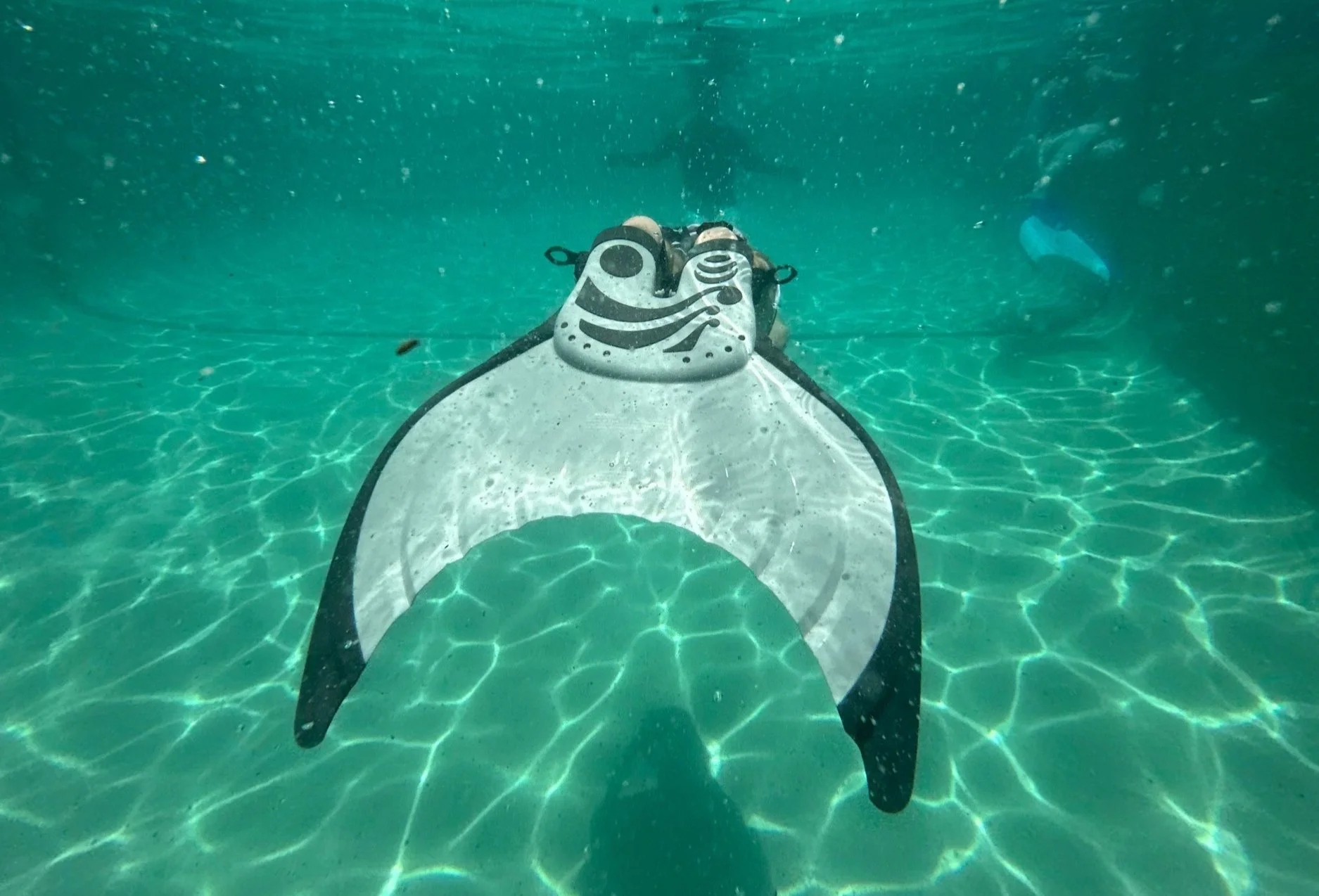 Mermaid Courses 2025 | PADI‑Certified Mermaiding Training for All Levels