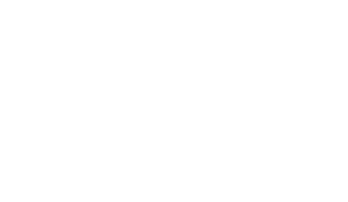 Puma Project 3