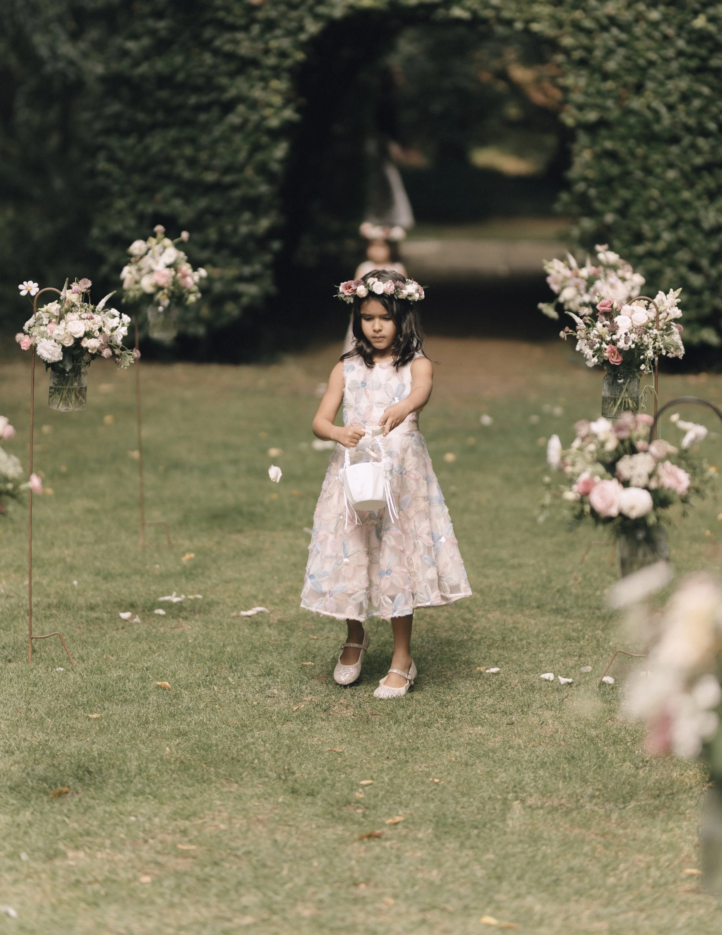 Gallery 3 — Go Wild Flowers