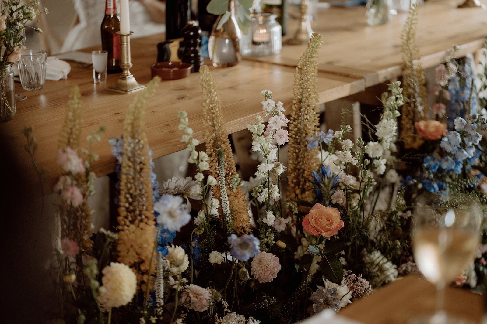 Gallery 3 — Go Wild Flowers