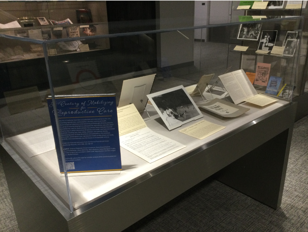 Gallery — Sritama Chatterjee