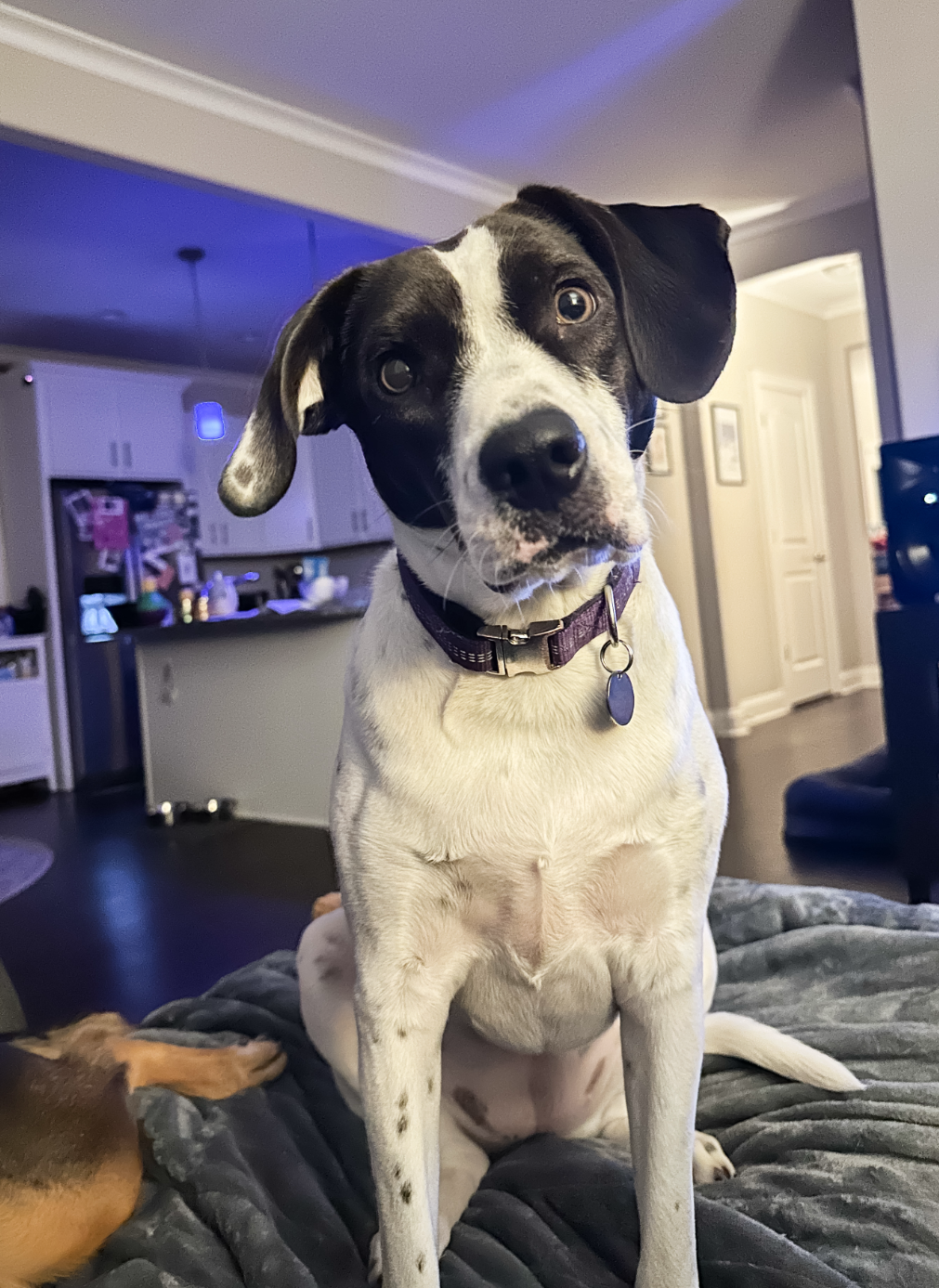 Celebrating the life of Joey Eaker