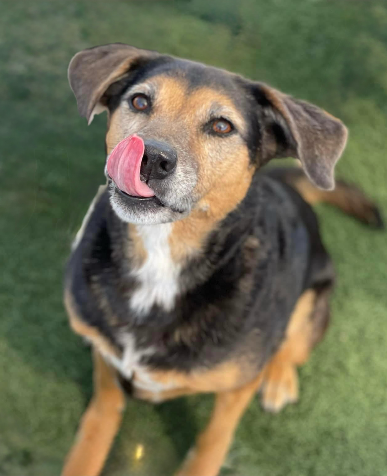 Celebrating the life of Joey Eaker