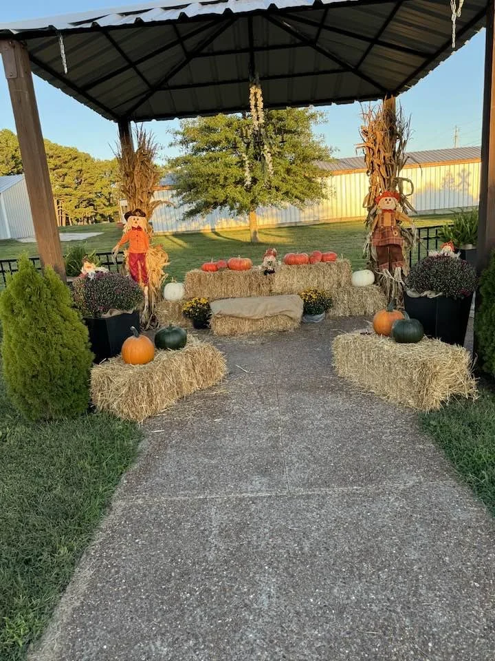 Bottom View Farm | Visit Us Today