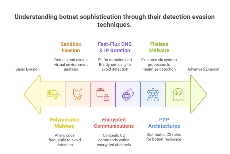 Botnets: Structure & How to Disrupt Them