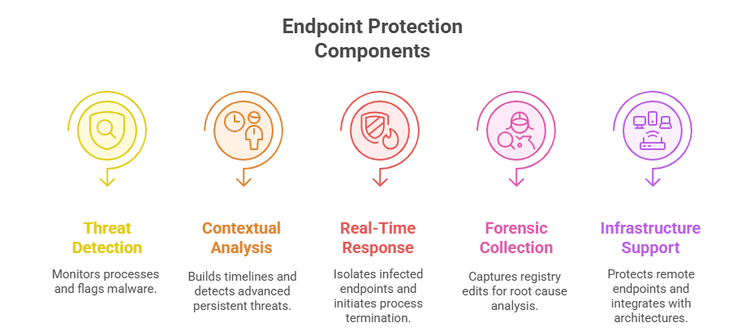 Ultimate Guide to the Best Endpoint Detection and Response (EDR) Tools